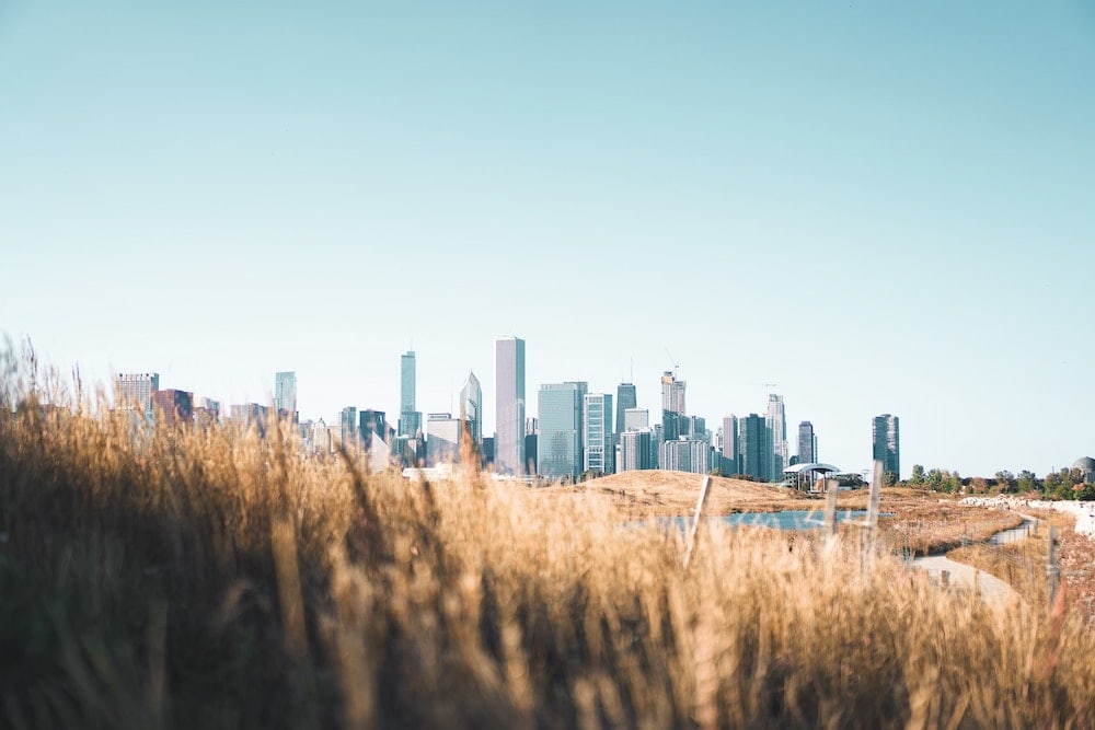 The Chicago Explore More Guide - Mappy Hour Blog