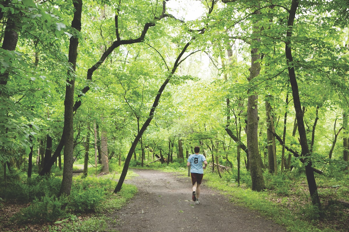 The Chicago Explore More Guide - Mappy Hour Blog