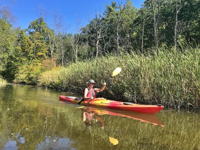 Field Trip Report: Kayaking Constitution Marsh - Mappy Hour Blog