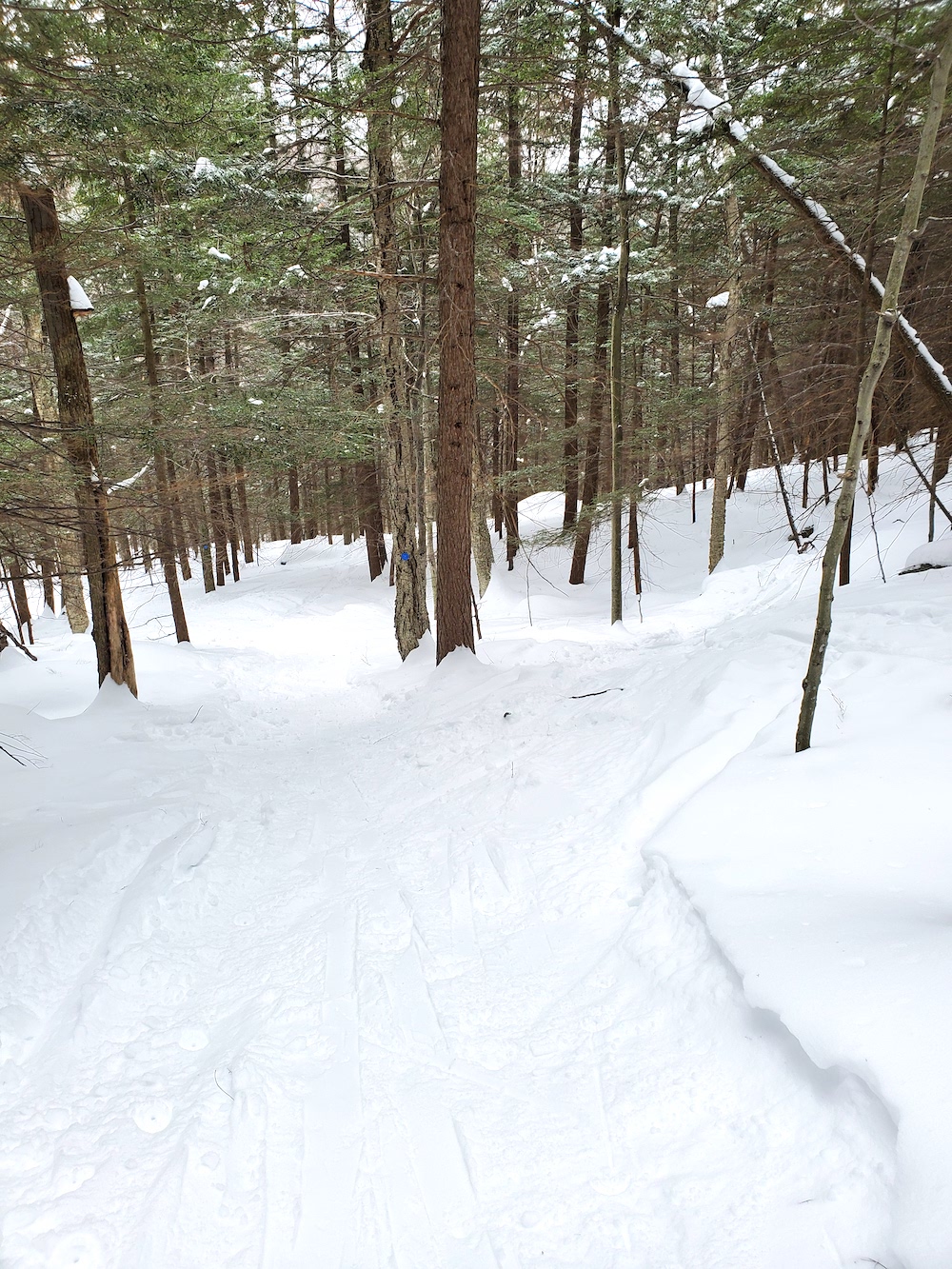 An Ode to Sliding on Snow - Mappy Hour Archive