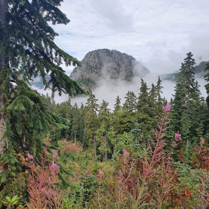 SEA: Day Hike on the PCT - Kendall Katwalk - Mappy Hour Blog