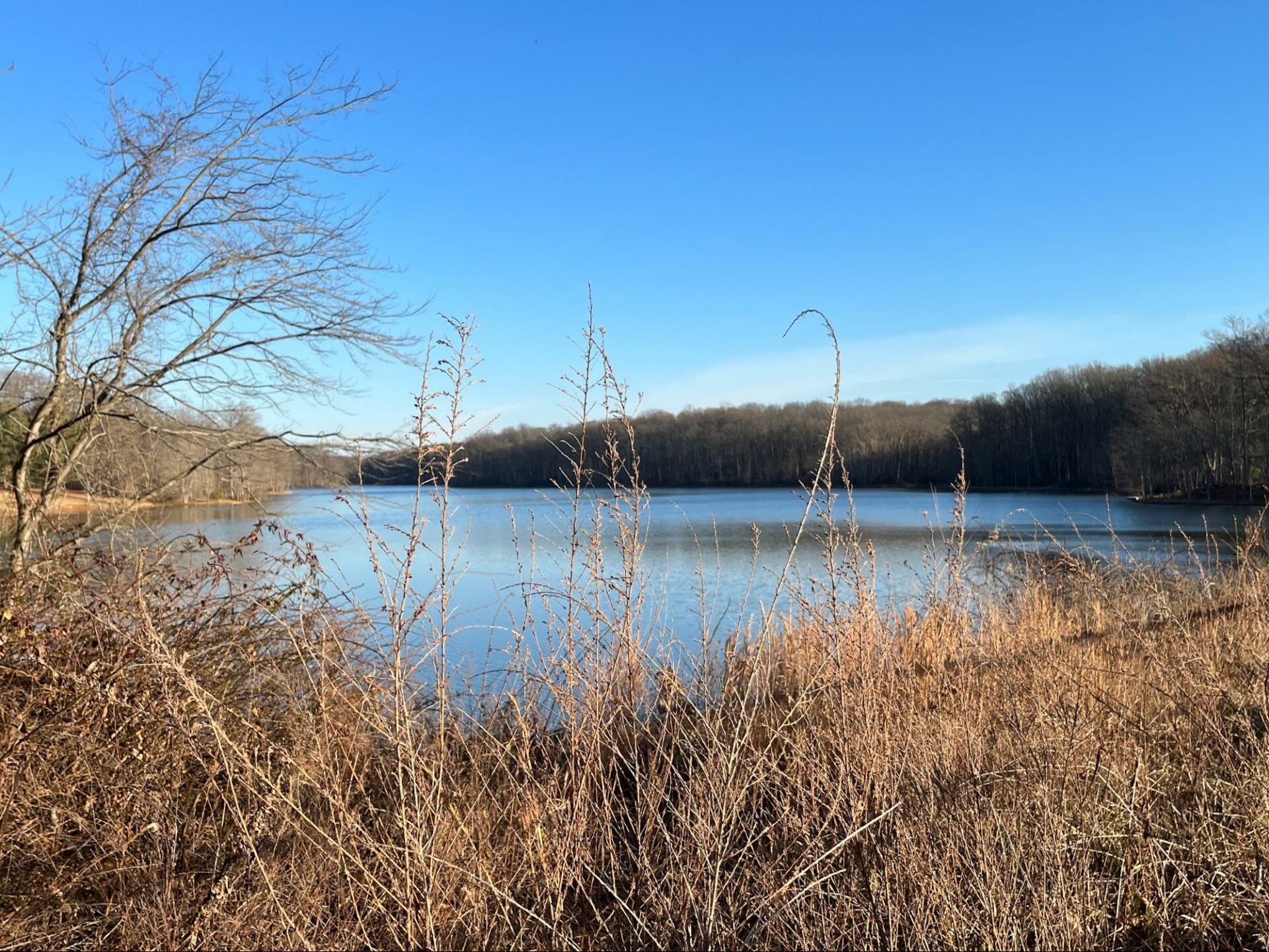 DC: Clopper Lake Loop Trail at Seneca Creek State Park - Mappy Hour Archive